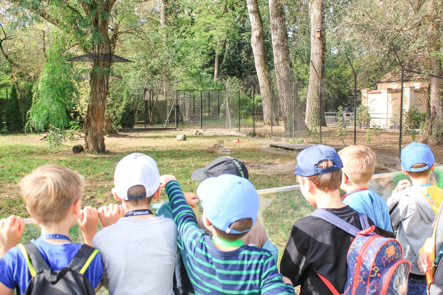 Wycieczka pierwszaków do zoo – PSP nr 1 w Stąporkowie